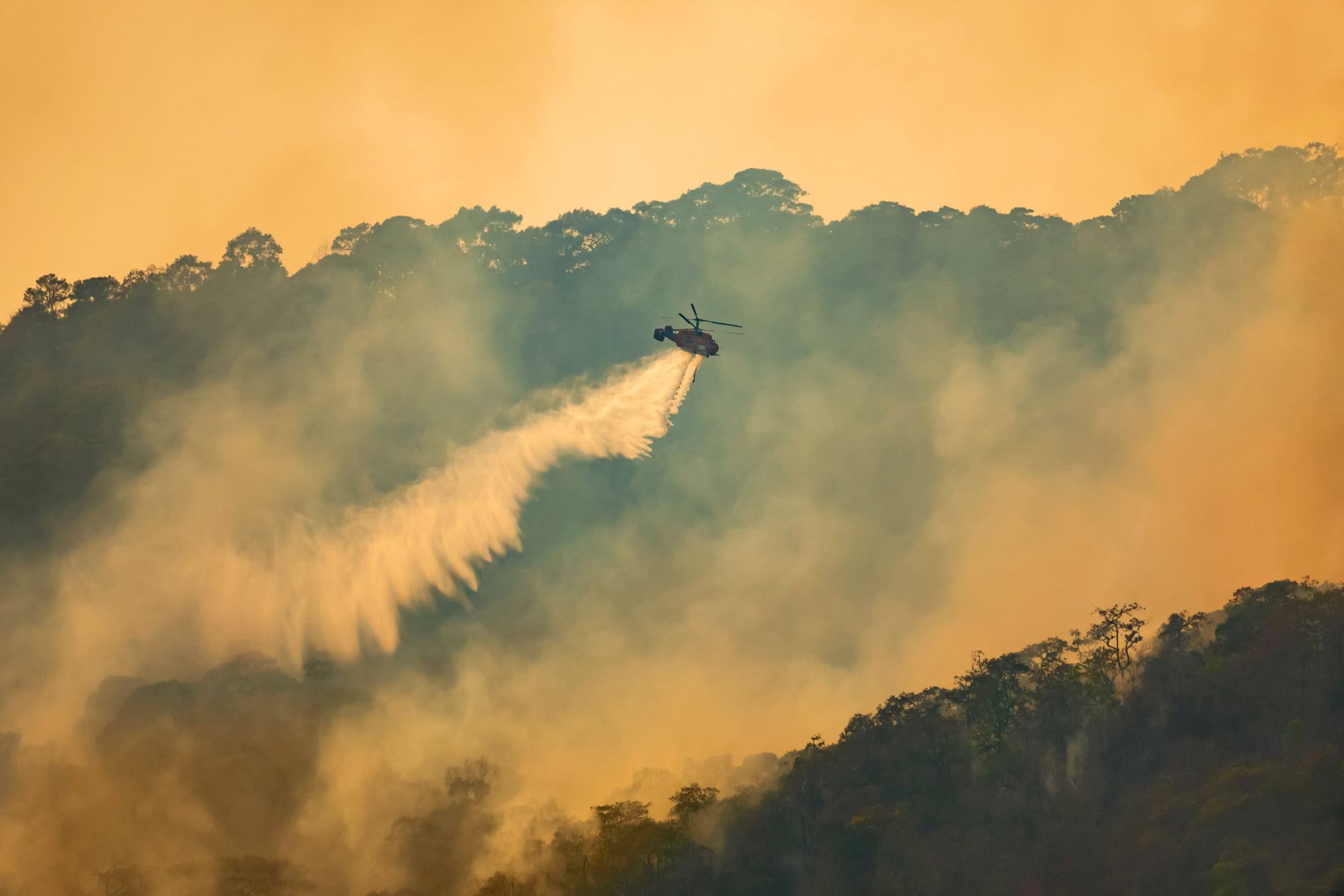 Wildfire Season is Here: Will Your Company’s Insurance Policy Withstand ...