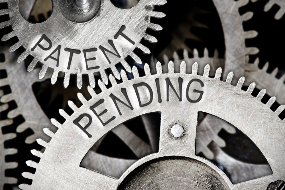 Where do Patent Owners Fit in the Current Federal Circuit-USPTO ...