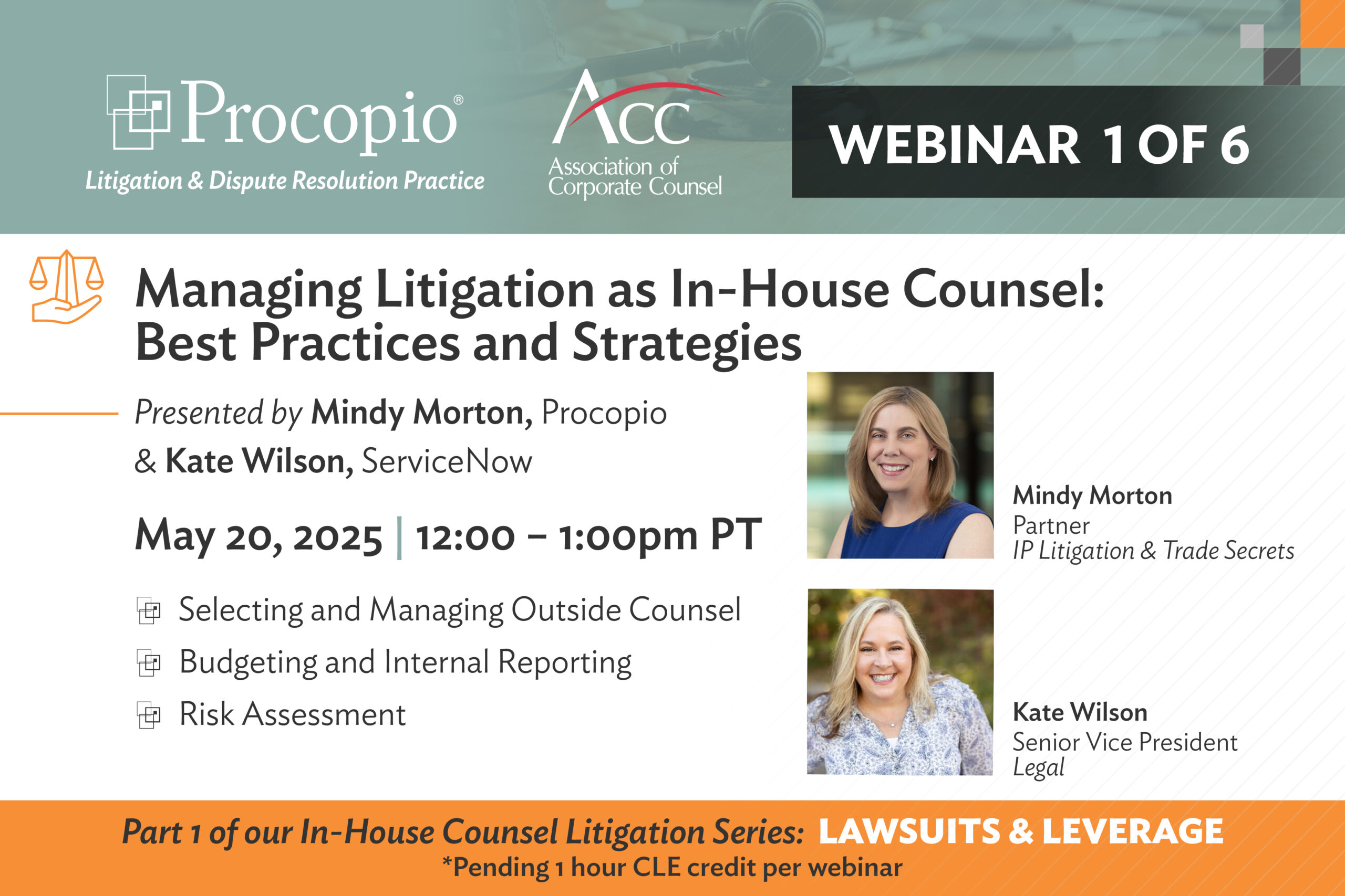 Managing Litigation as an In-House Counsel: Lawsuits and Leverage Series - Procopio | Procopio