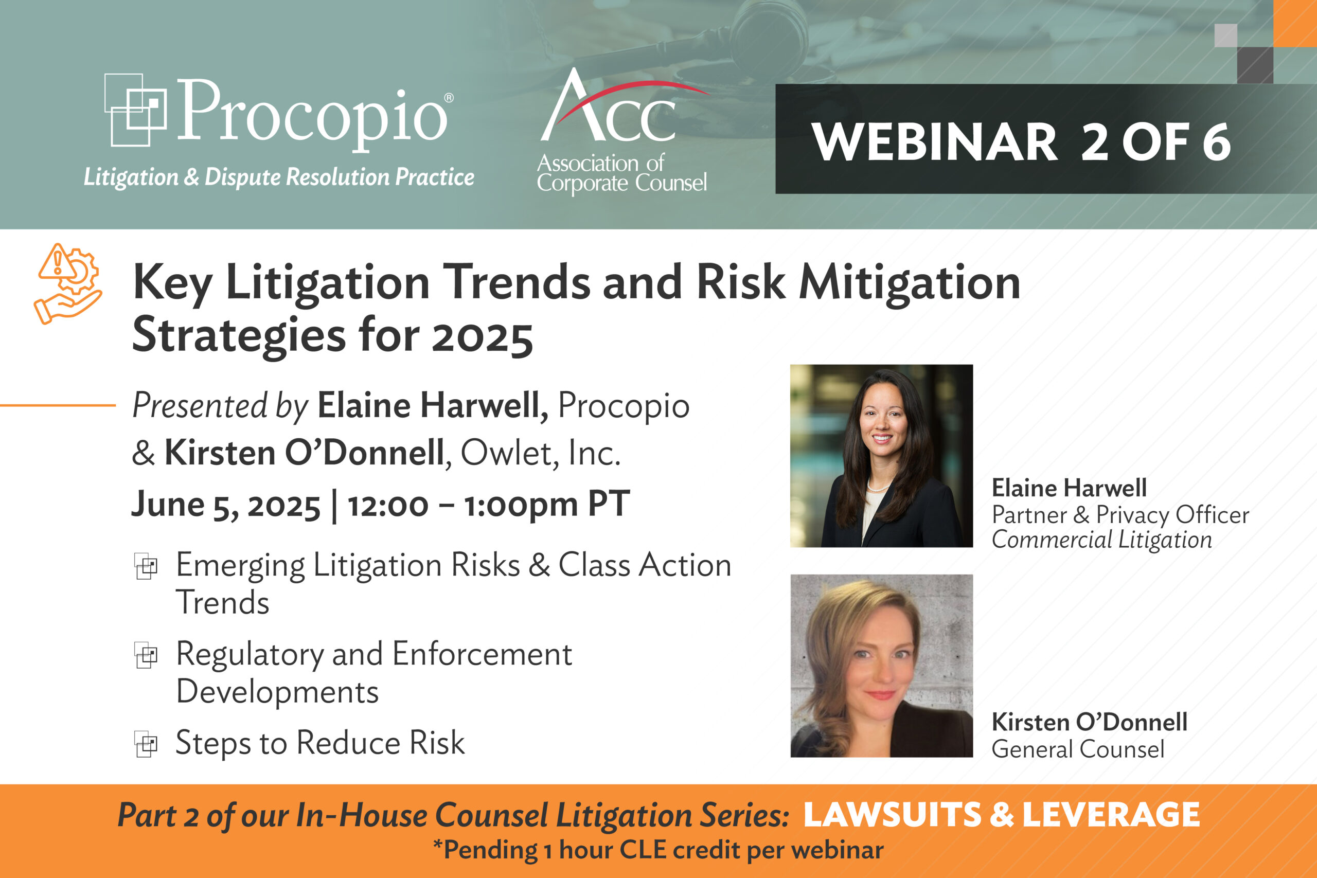 Key Litigation Trends and Risk Mitigation Strategies for 2025: Lawsuits ...