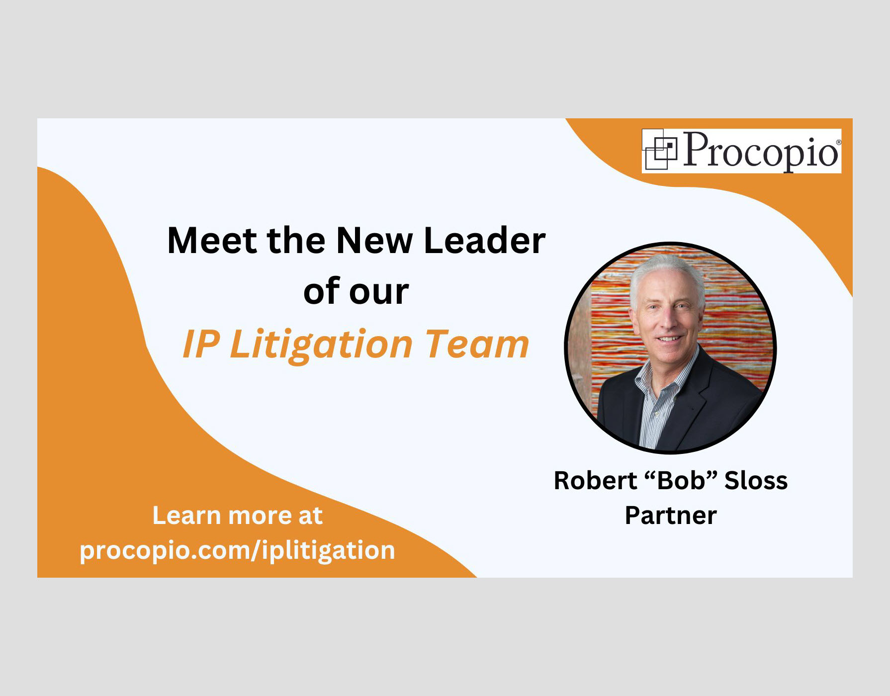 Accomplished Silicon Valley Partner New Leader of Procopio’s IP ...