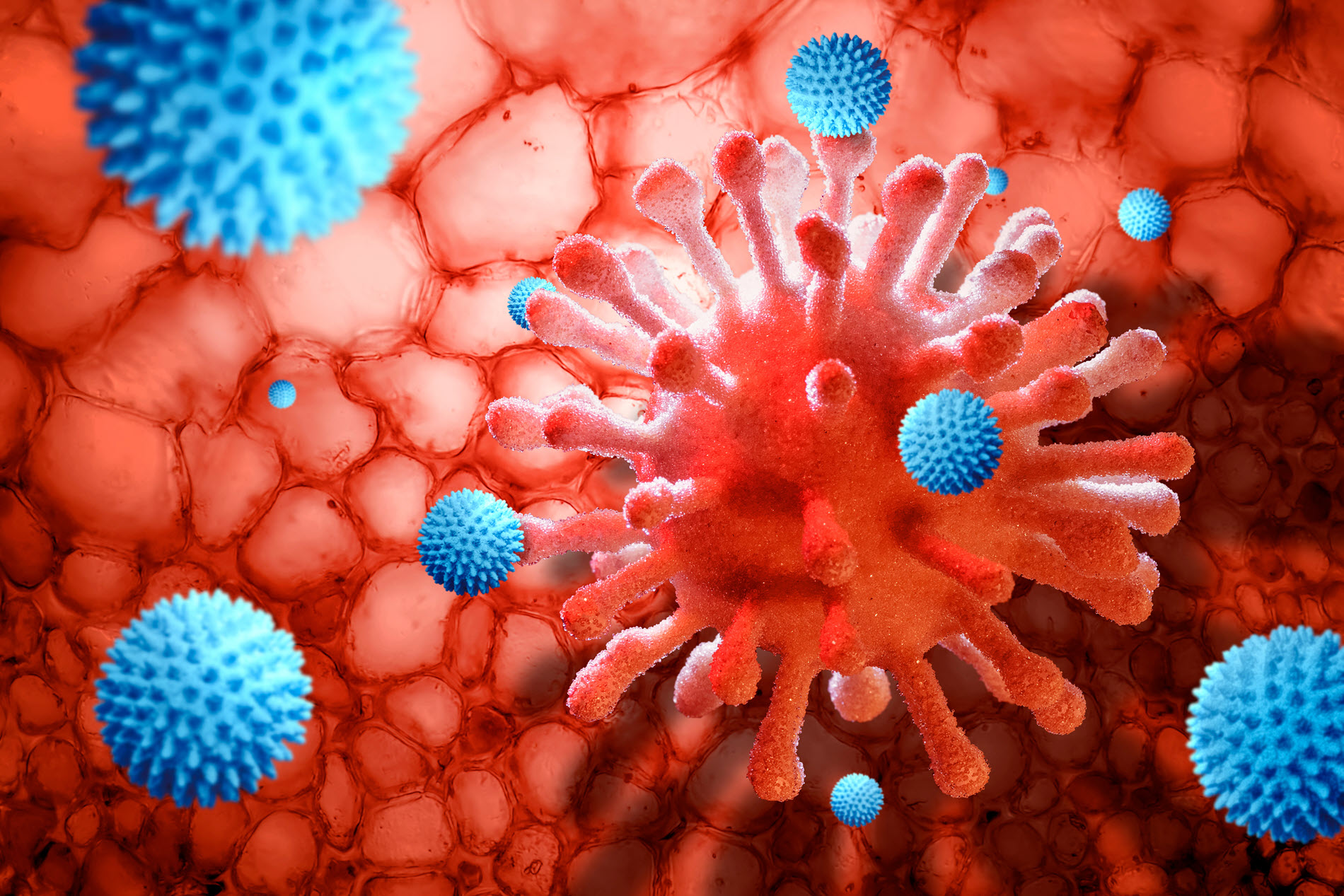 USPTO Provides Guidance in Light of Amgen v. Sanofi - Procopio | Procopio