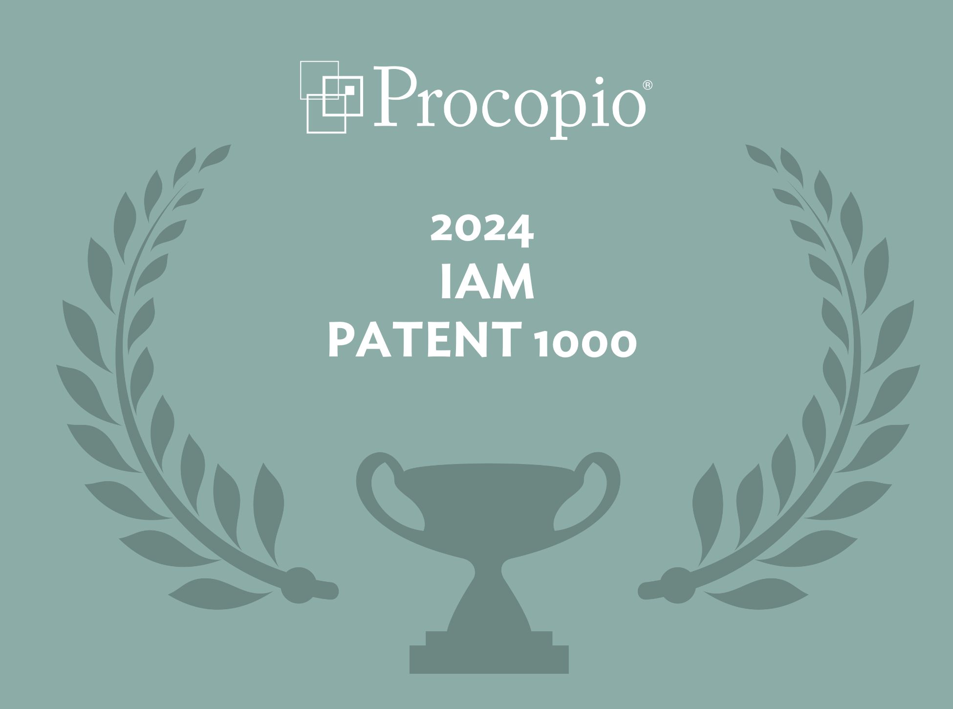 Procopio’s IP Practice and Multiple Partners Named to 2024 IAM Patent ...
